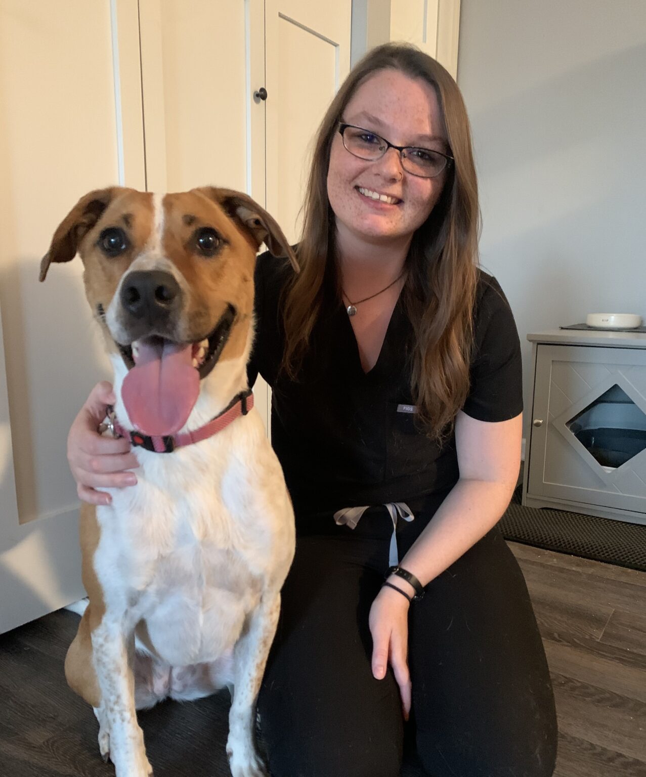 Pet Care & Boarding in Franklin, WI | Brentwood Animal Campus