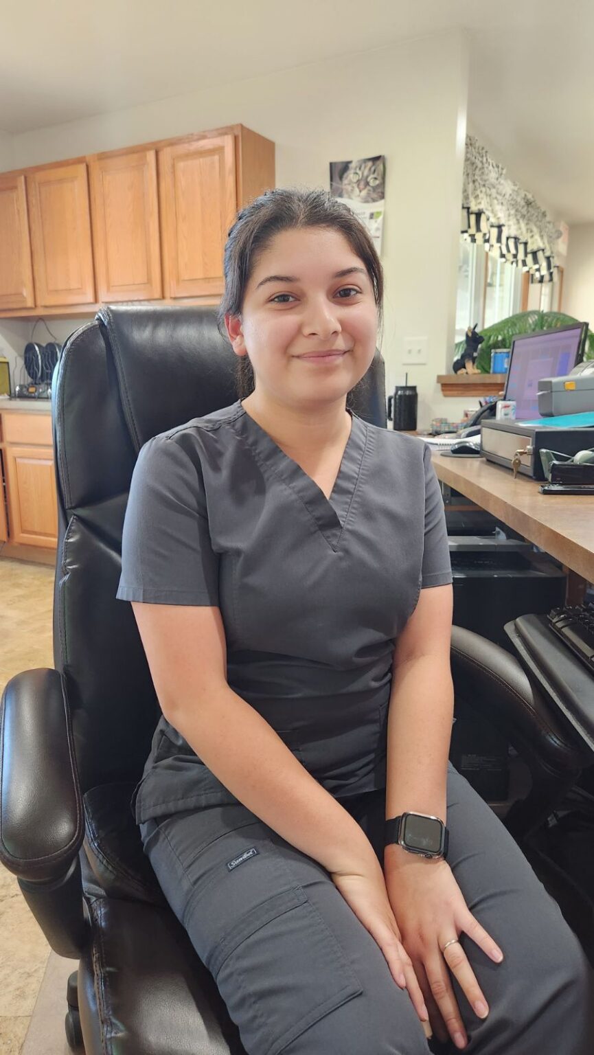 Pet Care & Boarding in Franklin, WI | Brentwood Animal Campus